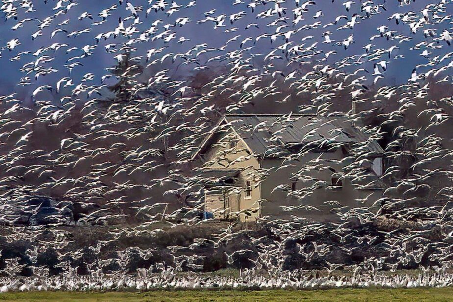 2025 Calendar | Rick Collar