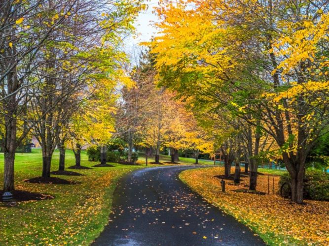 2023 Calendar | Rick Collar