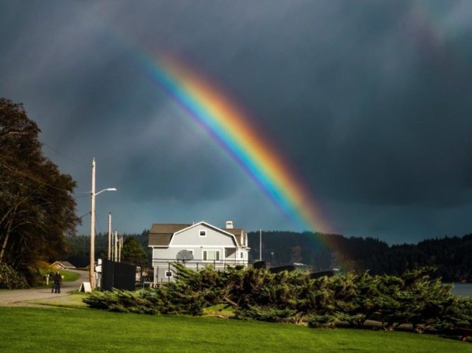 2023 Calendar | Rick Collar