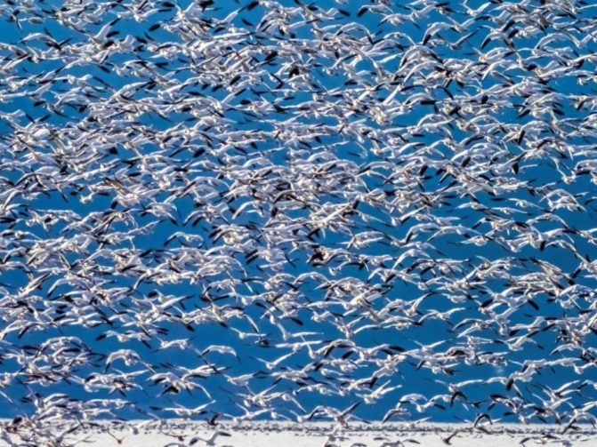 2023 Calendar | Rick Collar