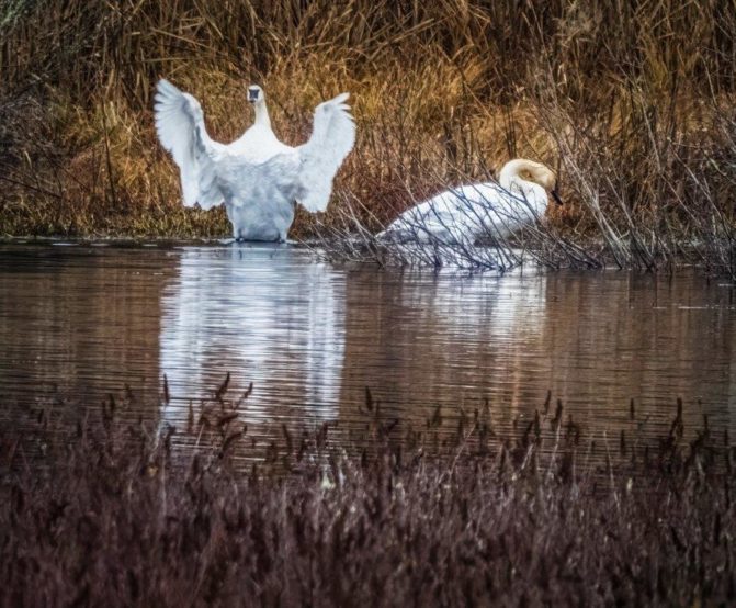 2023 Calendar | Rick Collar