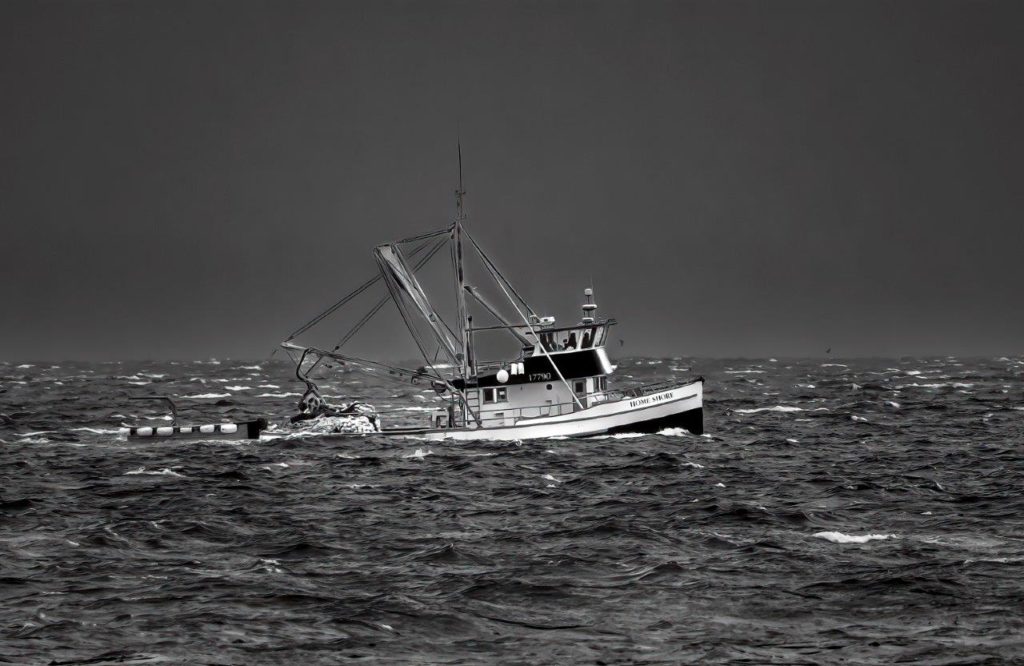 2024 Calendar | Rick Collar