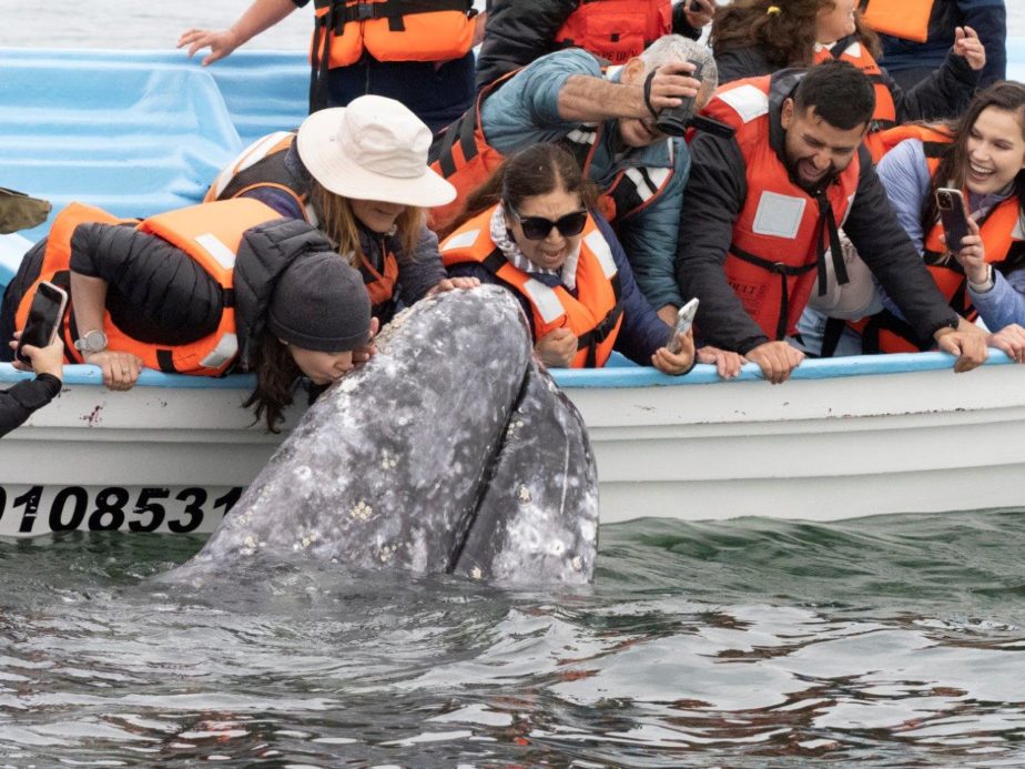 2024 Calendar | Rick Collar